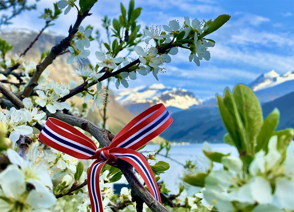 17. mai i Fjord - Fjord kommune